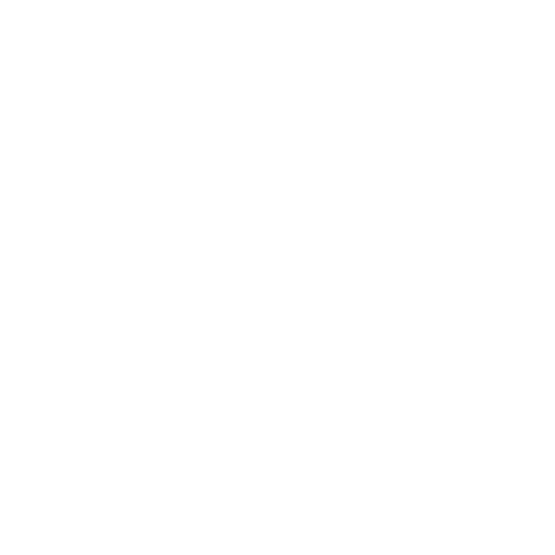 TRT Transfers & Things | Transfers + Tees